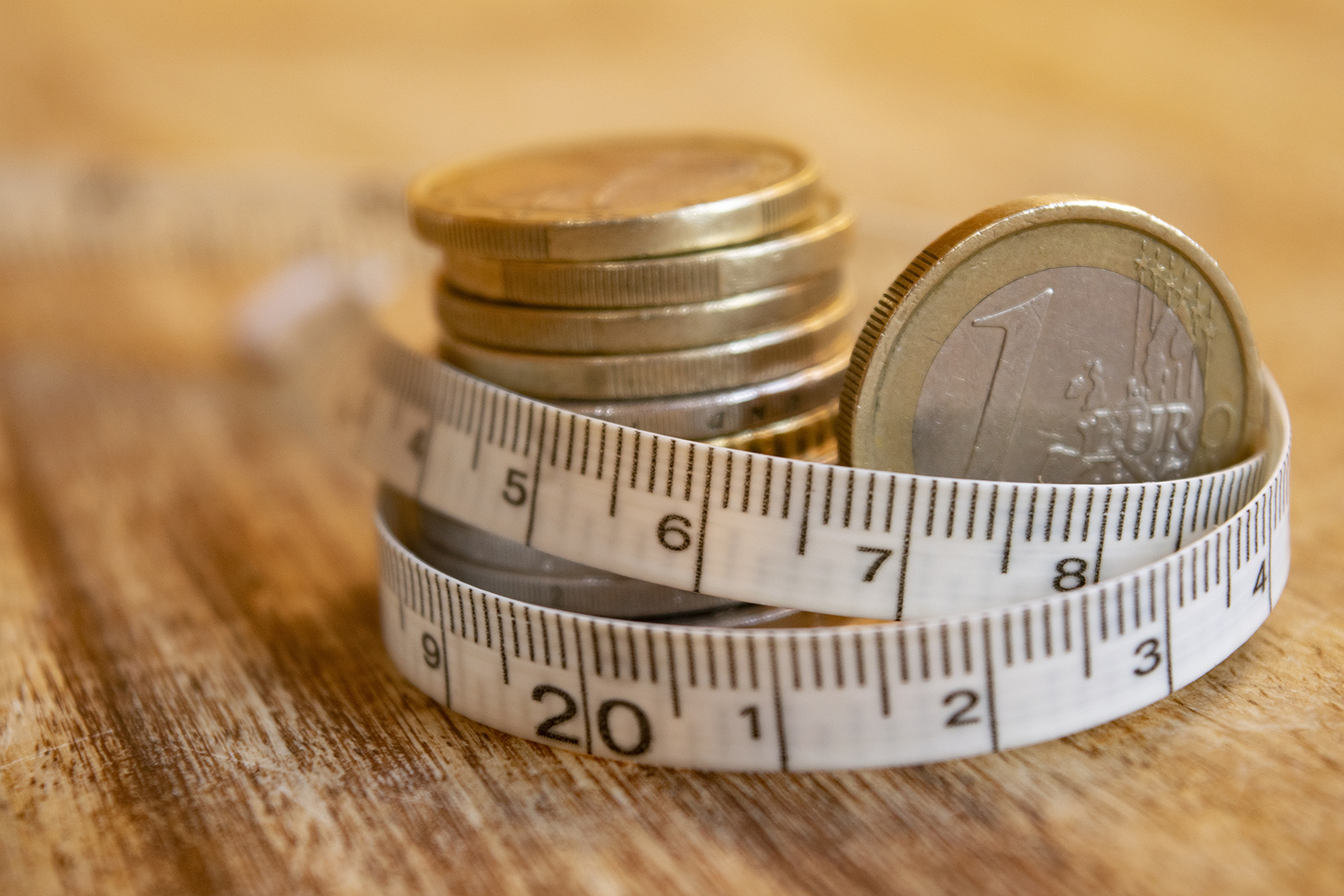Economic and Sociological Perspectives on Usability and Functionality ...
