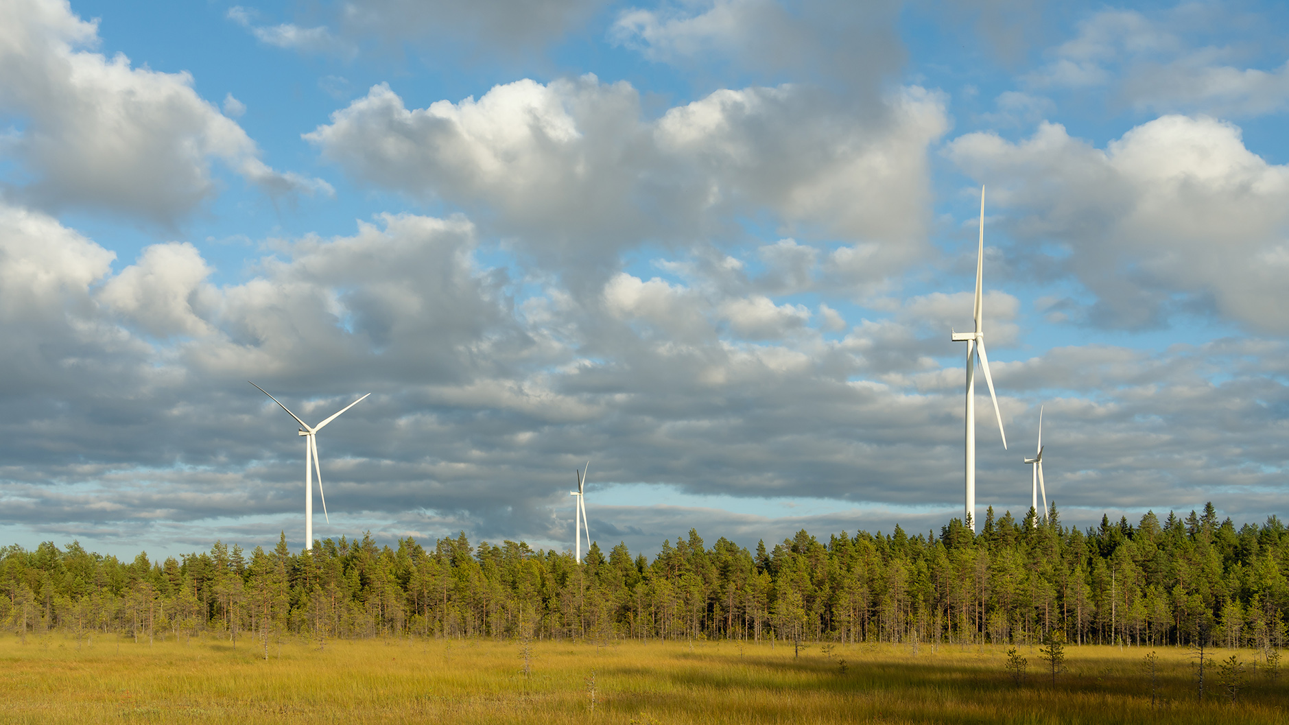 Addressing Environmental and Social Challenges in Wind Power Projects ...